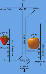 Pick Your Own Strawberries and Pumpkins at Berryland in Abrams WI